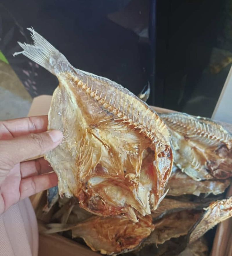 Ikan Kering - WikiPangan