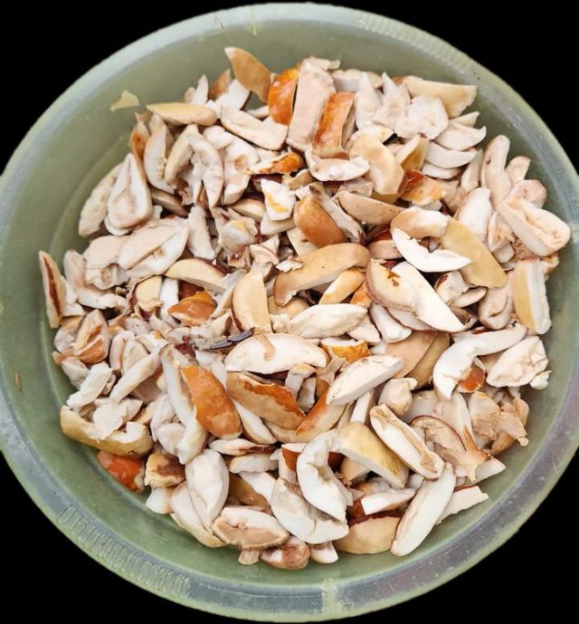 Berkas:Pangi atau Picung.jpg - WikiPangan