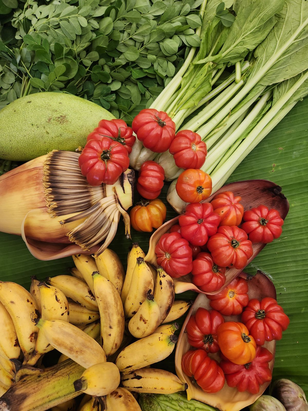 Pangan Lokal - WikiPangan